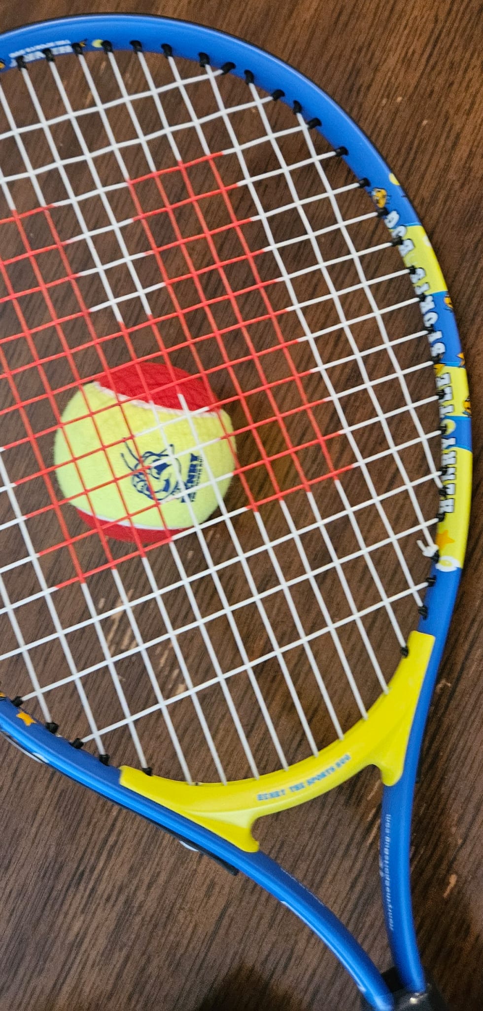 Henry the Sports Bug Tennis Racket – Henry the Sports Bug